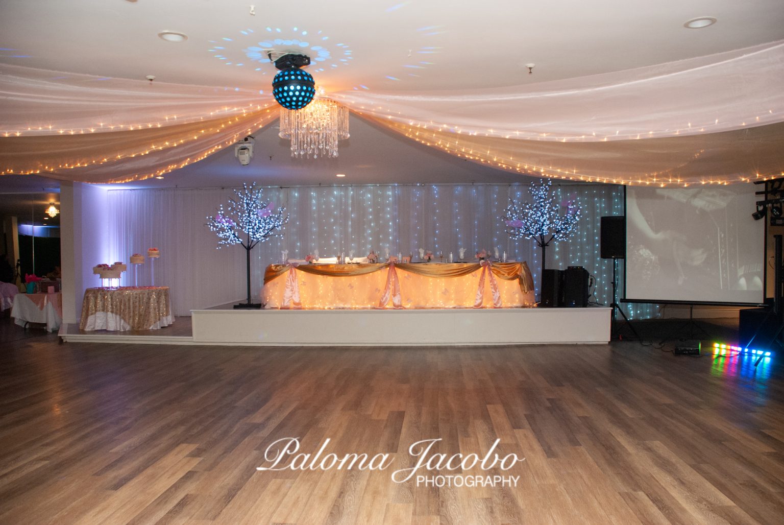 Como planear una fiesta de Quince años - Quinceanera